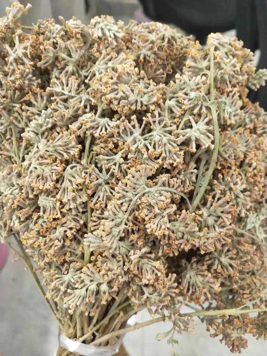 Guangxi Five Color Glutinous Rice - iMedia