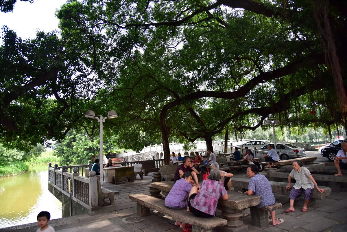 Li Xiyu, Guo Xiuli, Deng Guizhen's thoughts after reading - iMedia