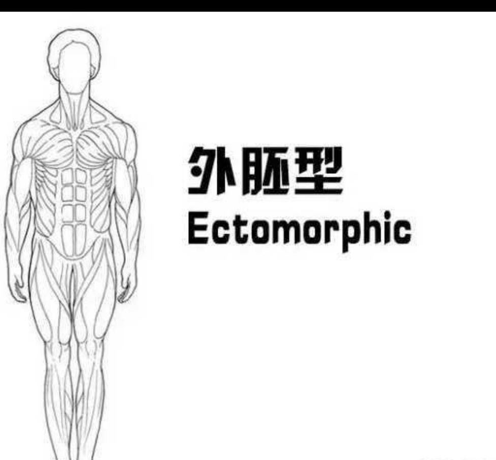 The human body has three physiques - iMedia