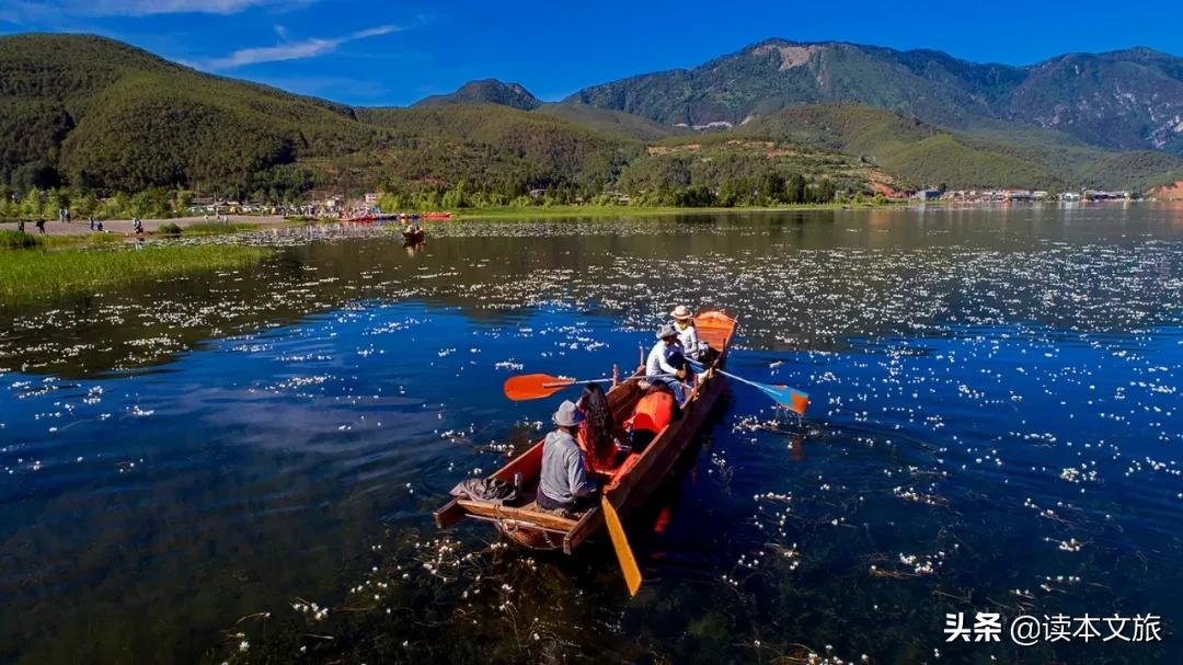 Sea cauliflower in Lugu Lake, yyds - iMedia