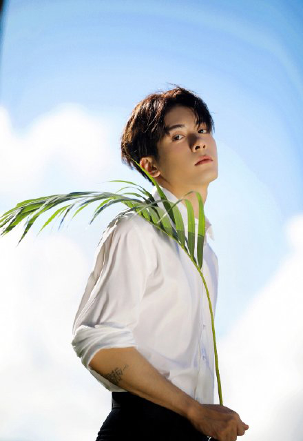 Want to know how the star's fan name comes from?Each has its meaning ...