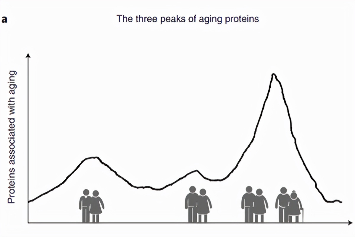 Do people really age "cliff-style"?The perception of aging in 3 age ...