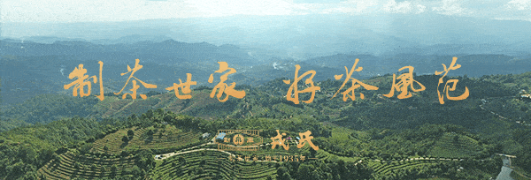 In 2021, three new products of Rong's Yunbai Tea will be upgraded and ...
