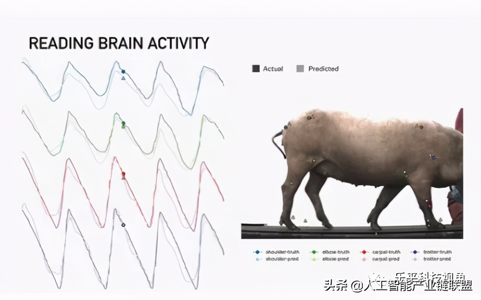 Musk releases brain-computer interface, human beings take a small step ...