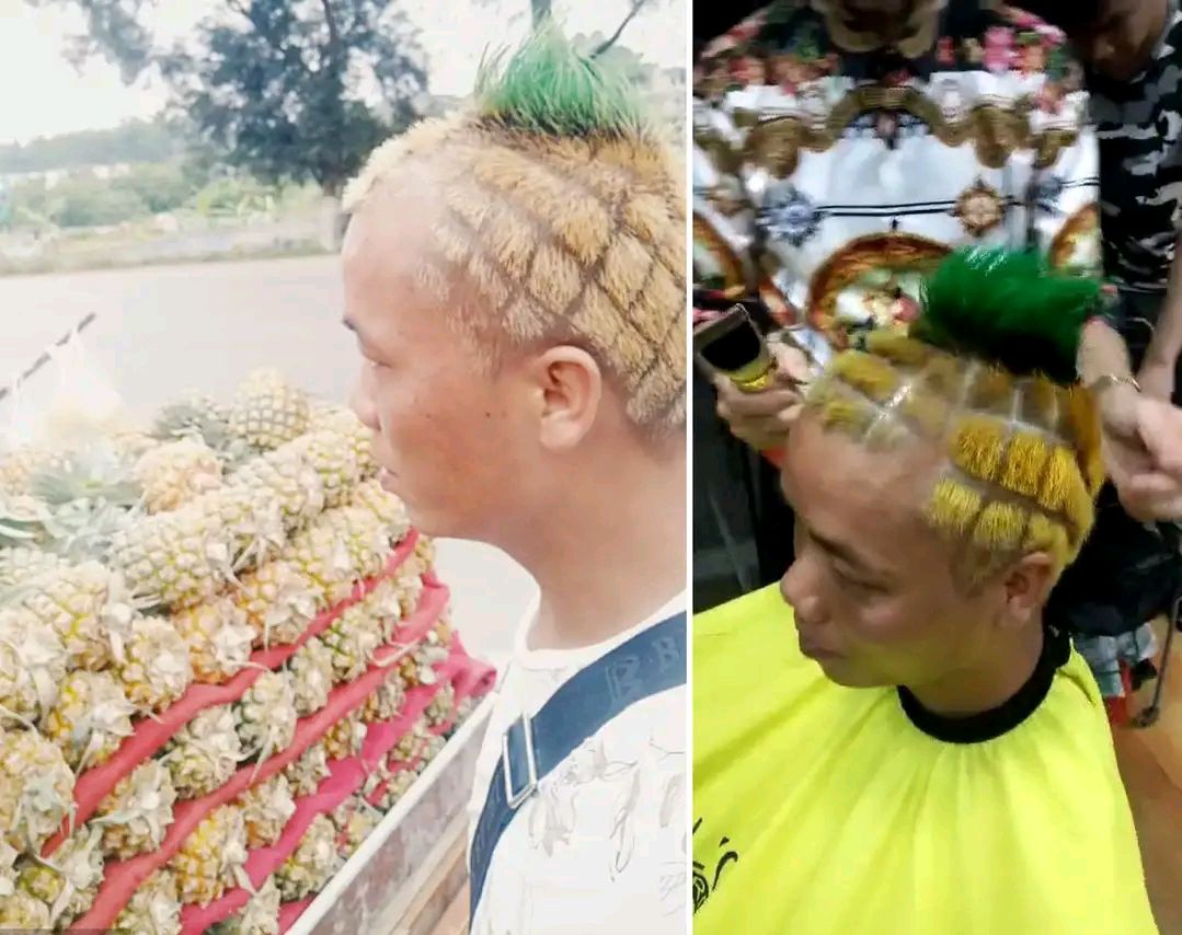 Inventory of hair stylist's whimsical ideas, fruits, animals, instant ...