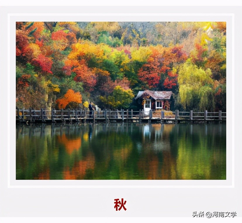 Qin Ling: I don't want to say (Poems·Outside Five Poems) - iMedia