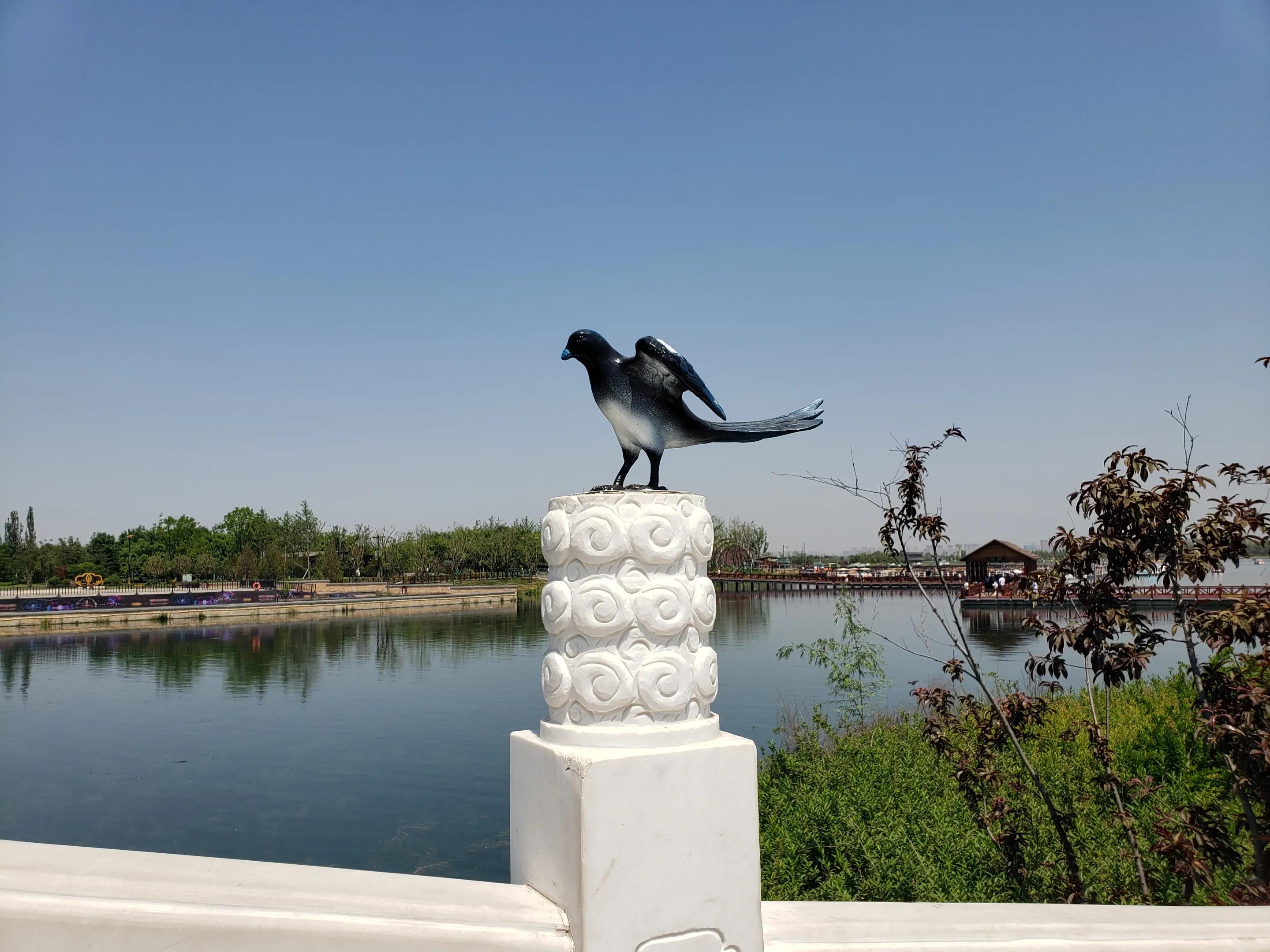 Xi'an Kunming Pool·Qixi Park is so beautiful!A place to witness love ...