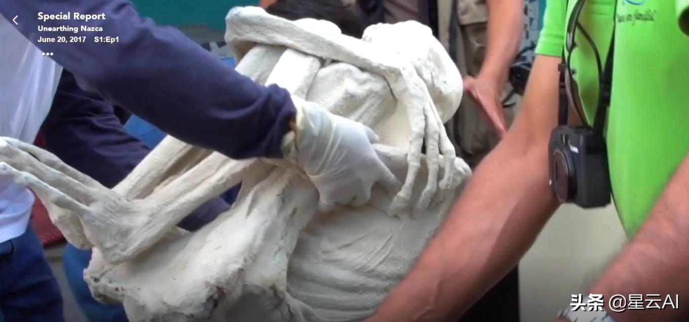 Nazca alien mummy, an amphibian with three fingers and toes - iMedia
