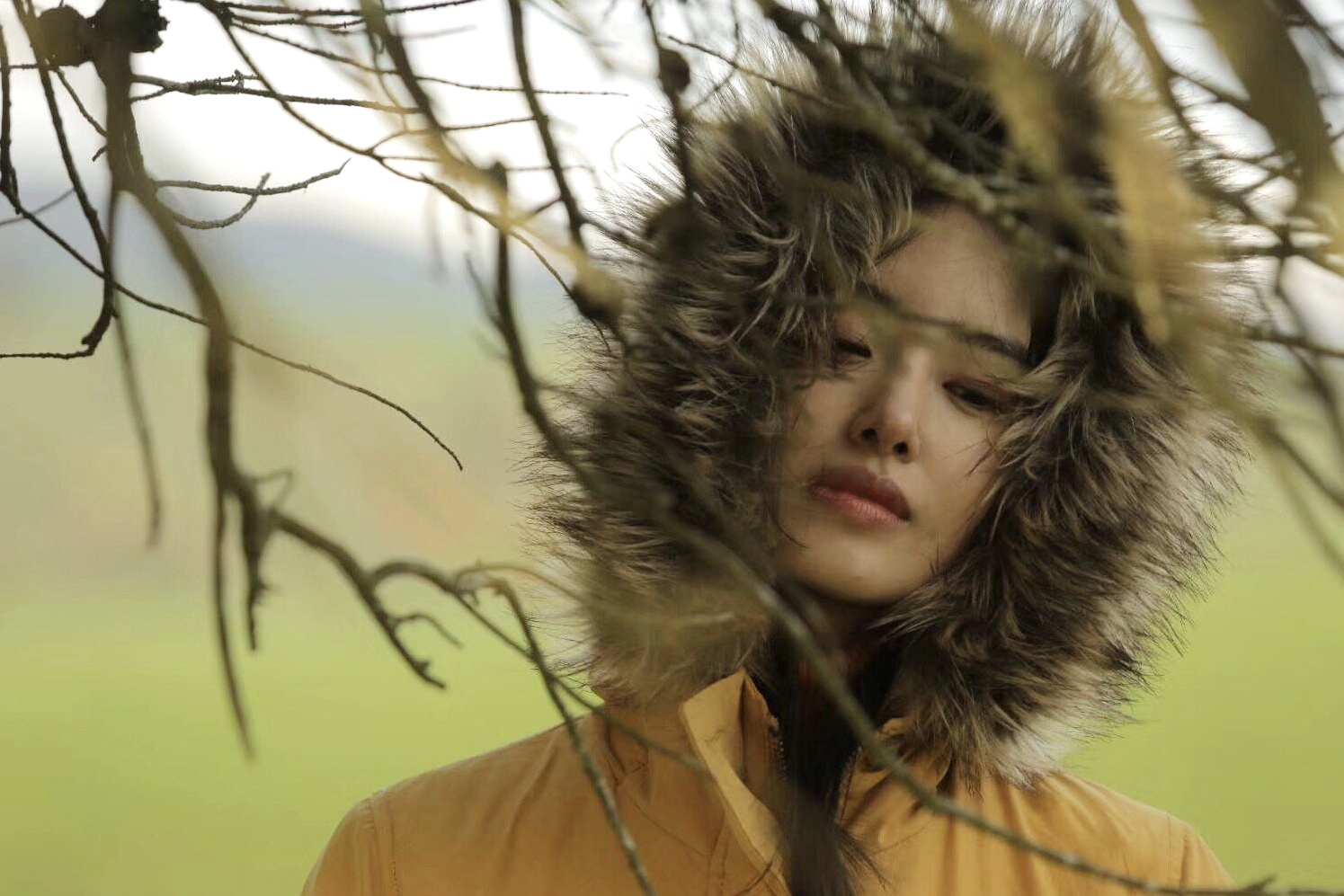 Goddess Yang Caiyu - iMedia