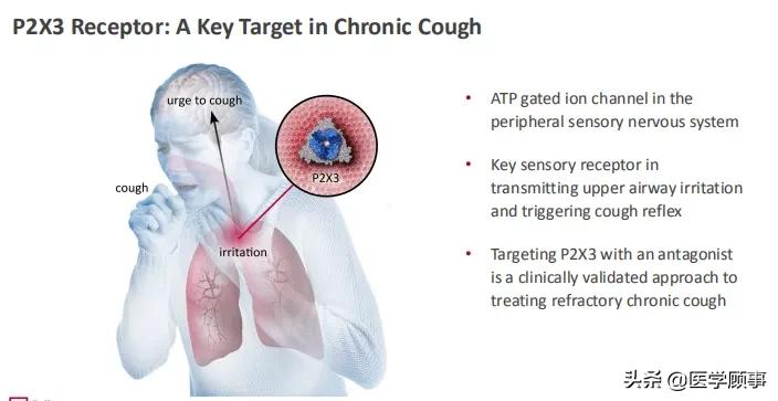 P2X3 antagonist for the treatment of chronic cough is here - iMedia