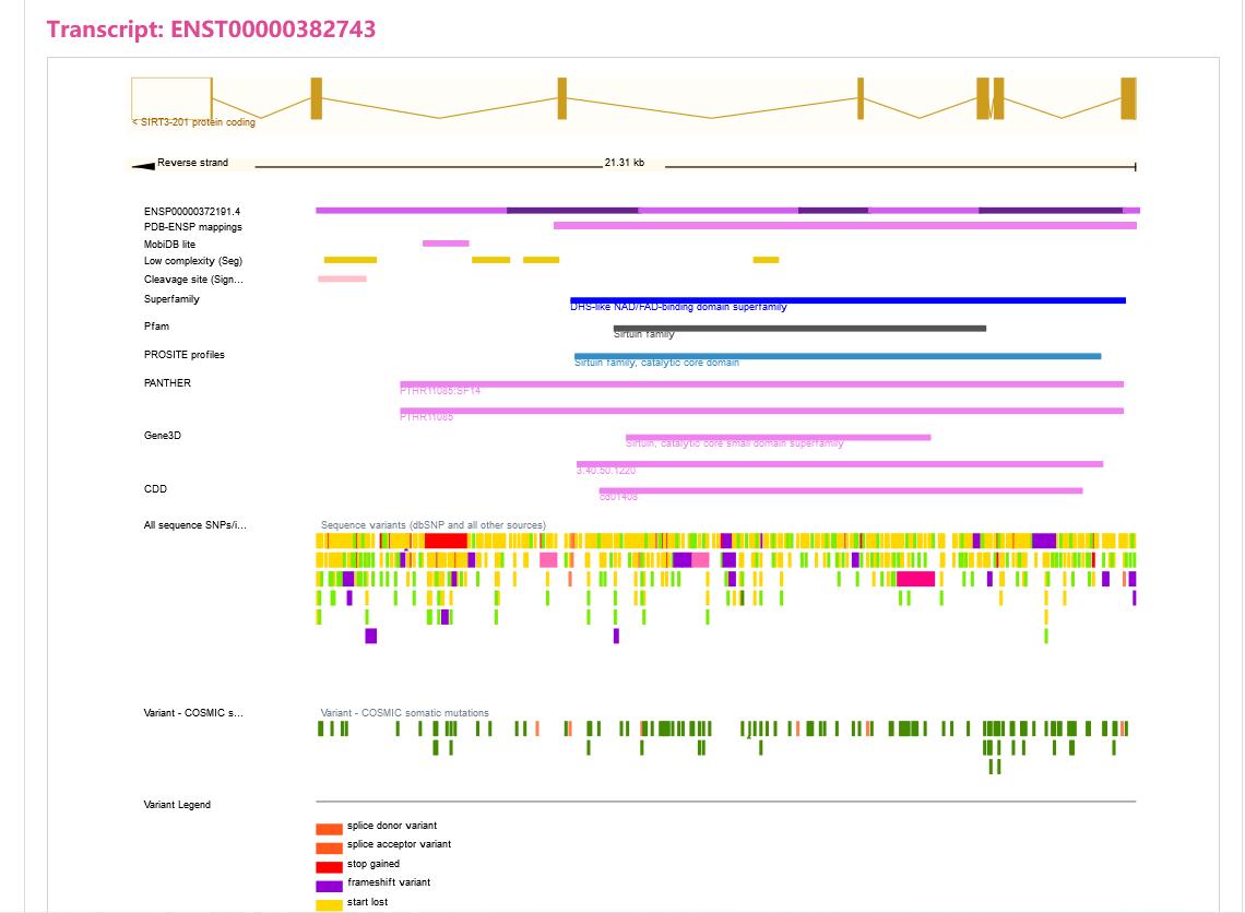 Cell gene editing system-Smart-CRISPR - iMedia
