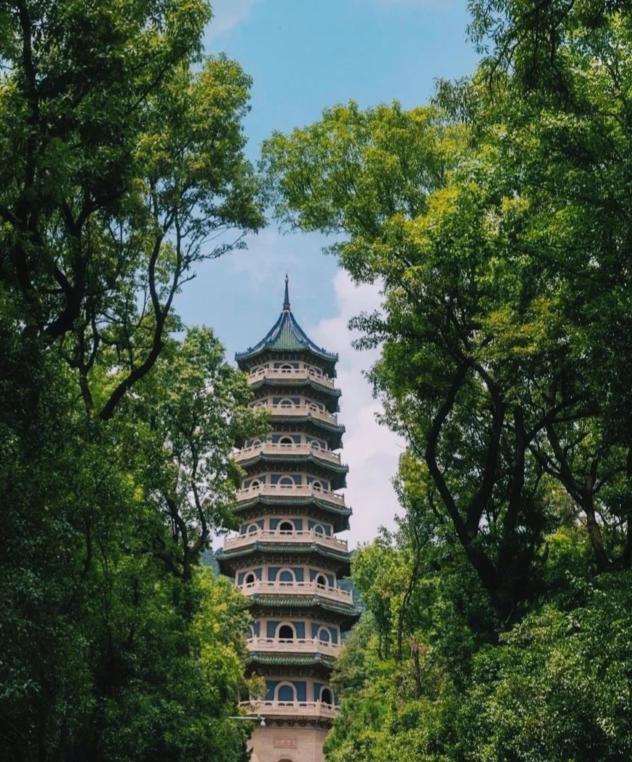 The tree is a sycamore tree, the city is Nanjing city - iMedia