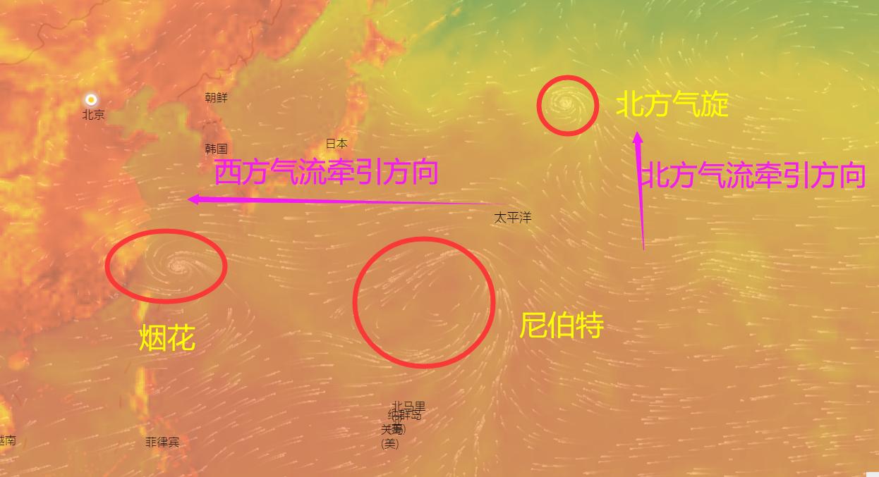 Typhoon No. 8 "Nibert" has taken shape and its path has been determined ...