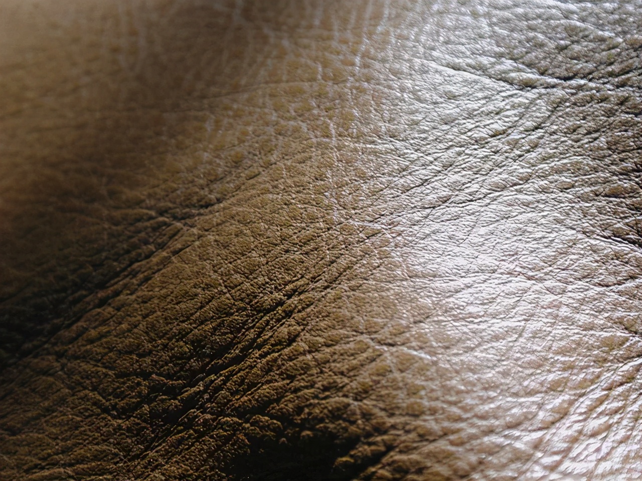 What is lychee grain leather?How to maintain? - iMedia