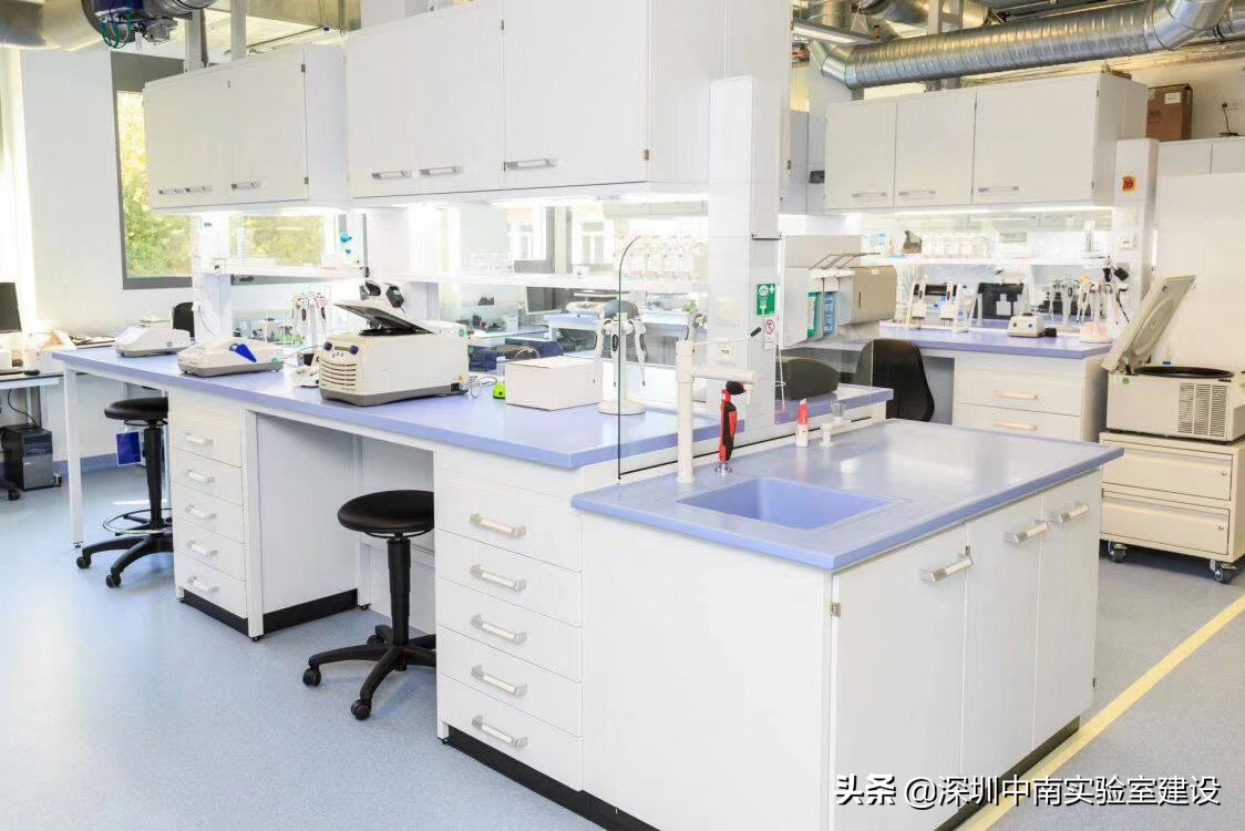 Types Of Hospital Laboratory at Amy Beasley blog