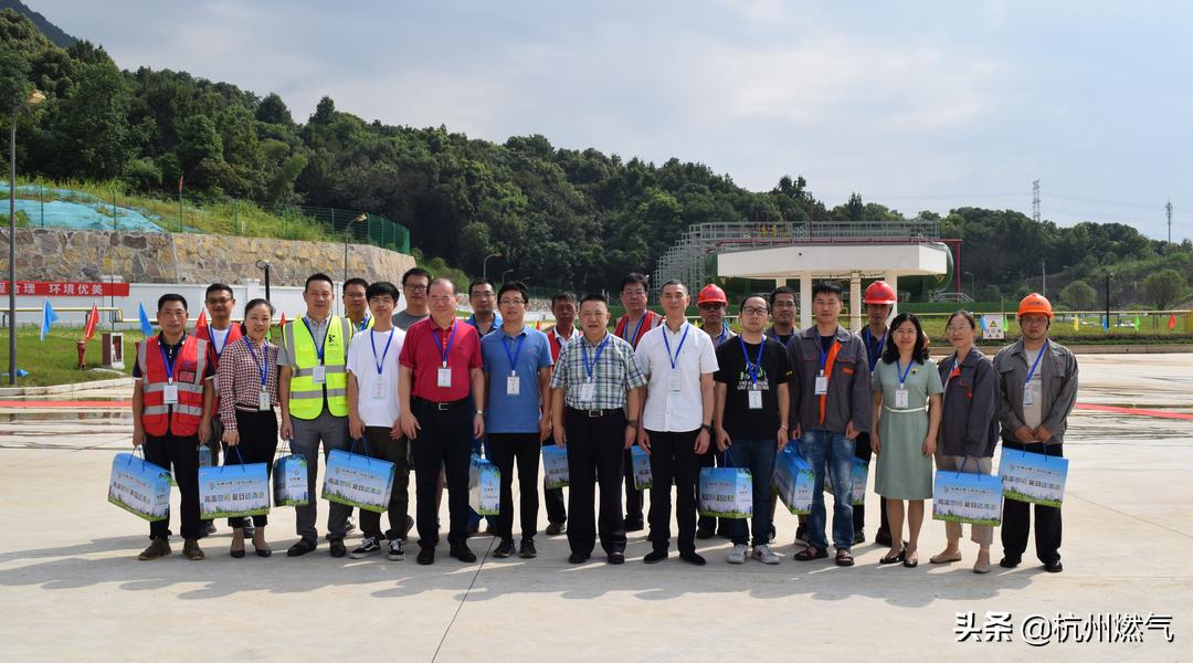 In ancient times, "Gao Ting Peach Viewing", now "Peach Blossoms"-Gao ...
