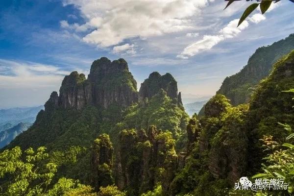 In Guangxi~Forest Adventure!Climbing to the top of the mountain, high ...