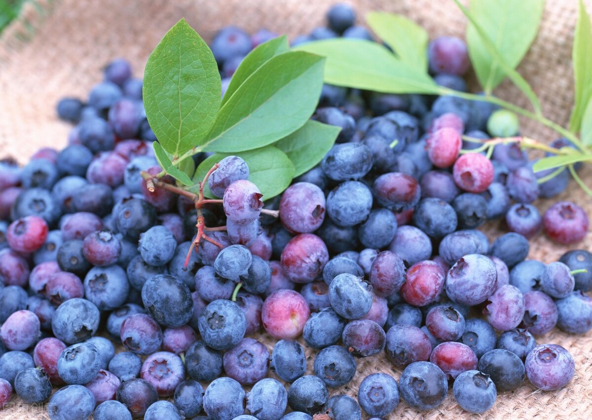Fun fact: Are blueberry-flavored things really unpalatable except for ...