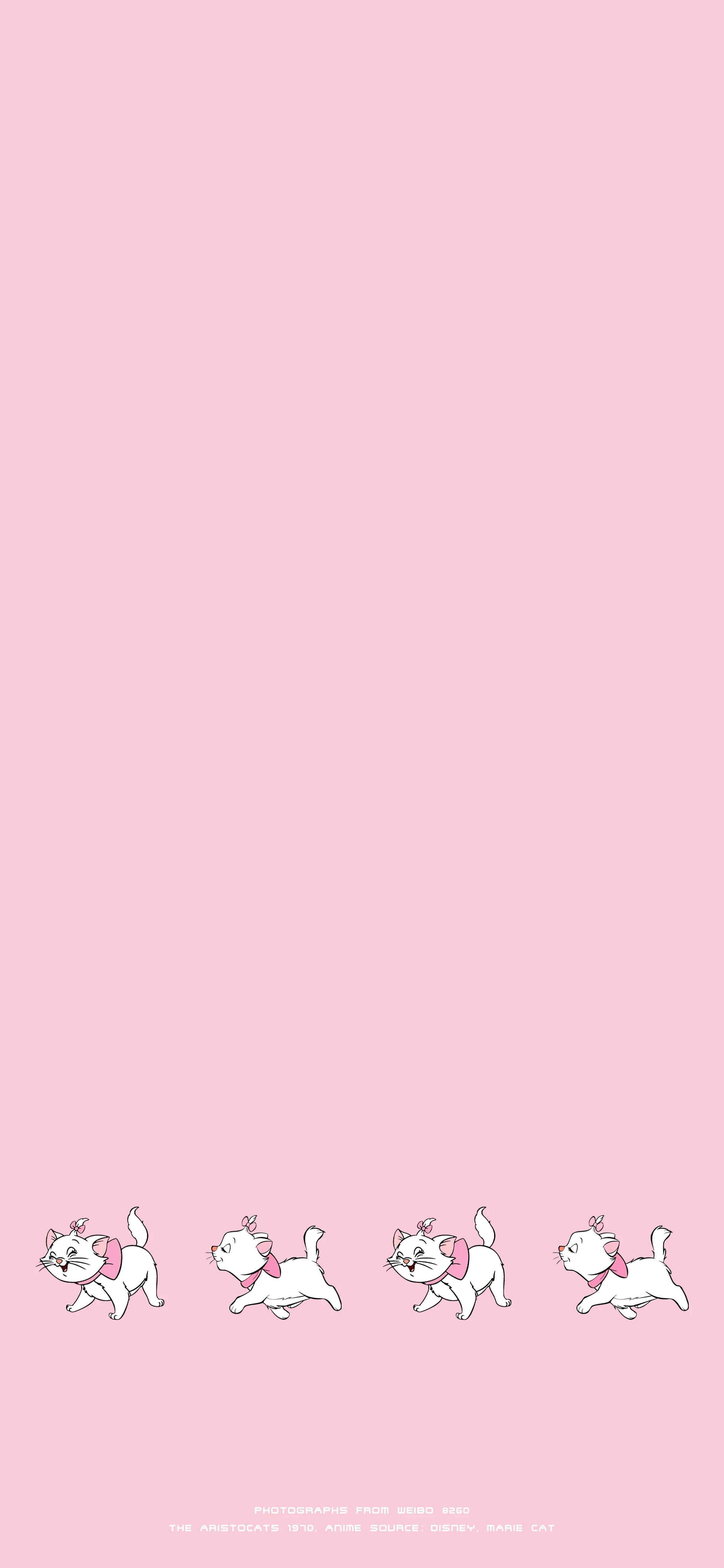 1397 original picture Mary cat series mobile wallpaper - iMedia