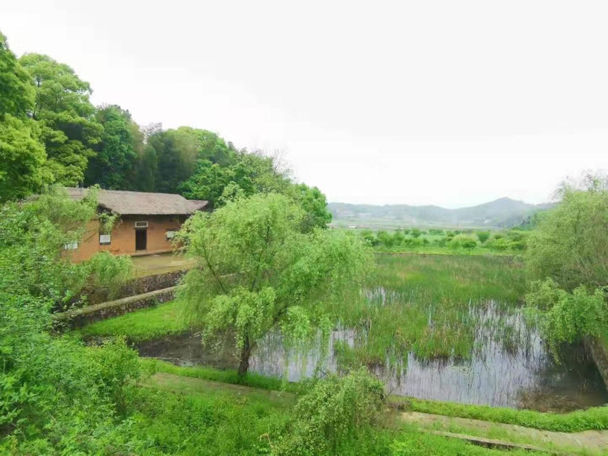 Hundred Tastes of Life 174: Trip to the Hometown of Qi Baishi in ...