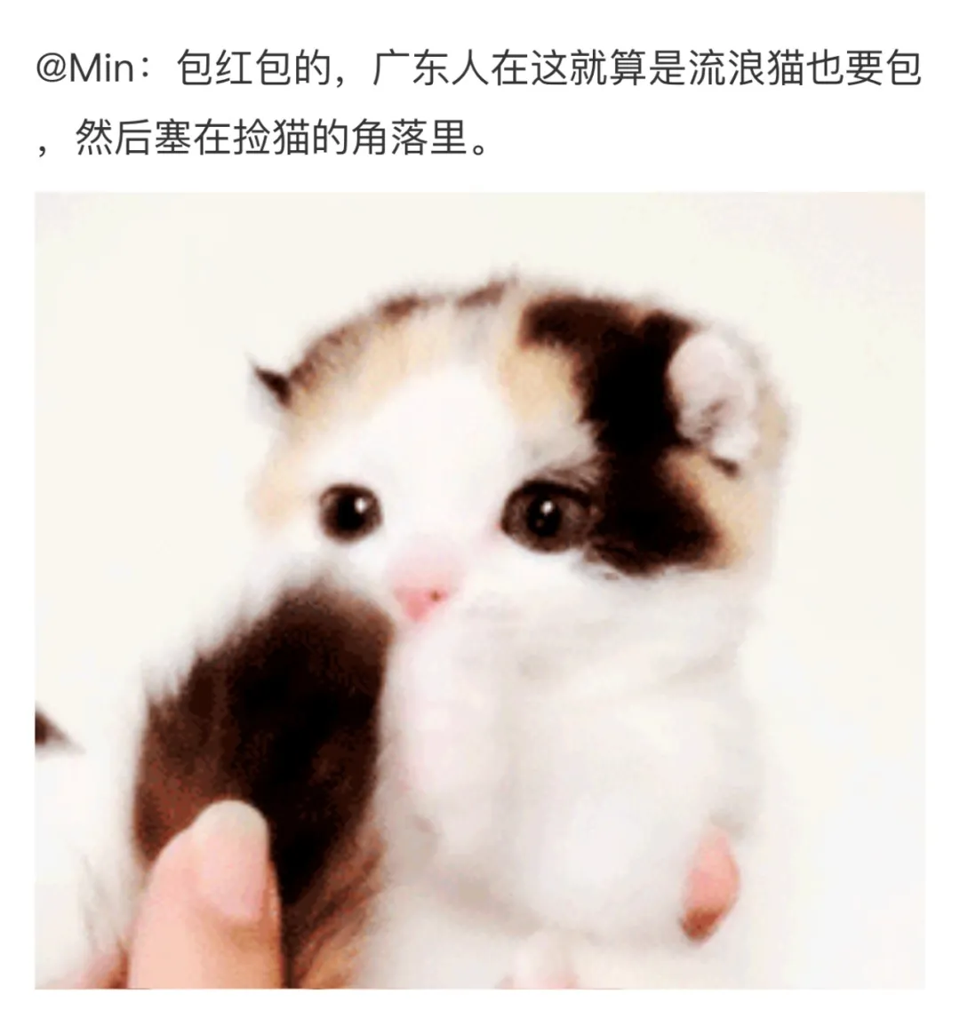 Good guy, strange knowledge has increased... - iMedia