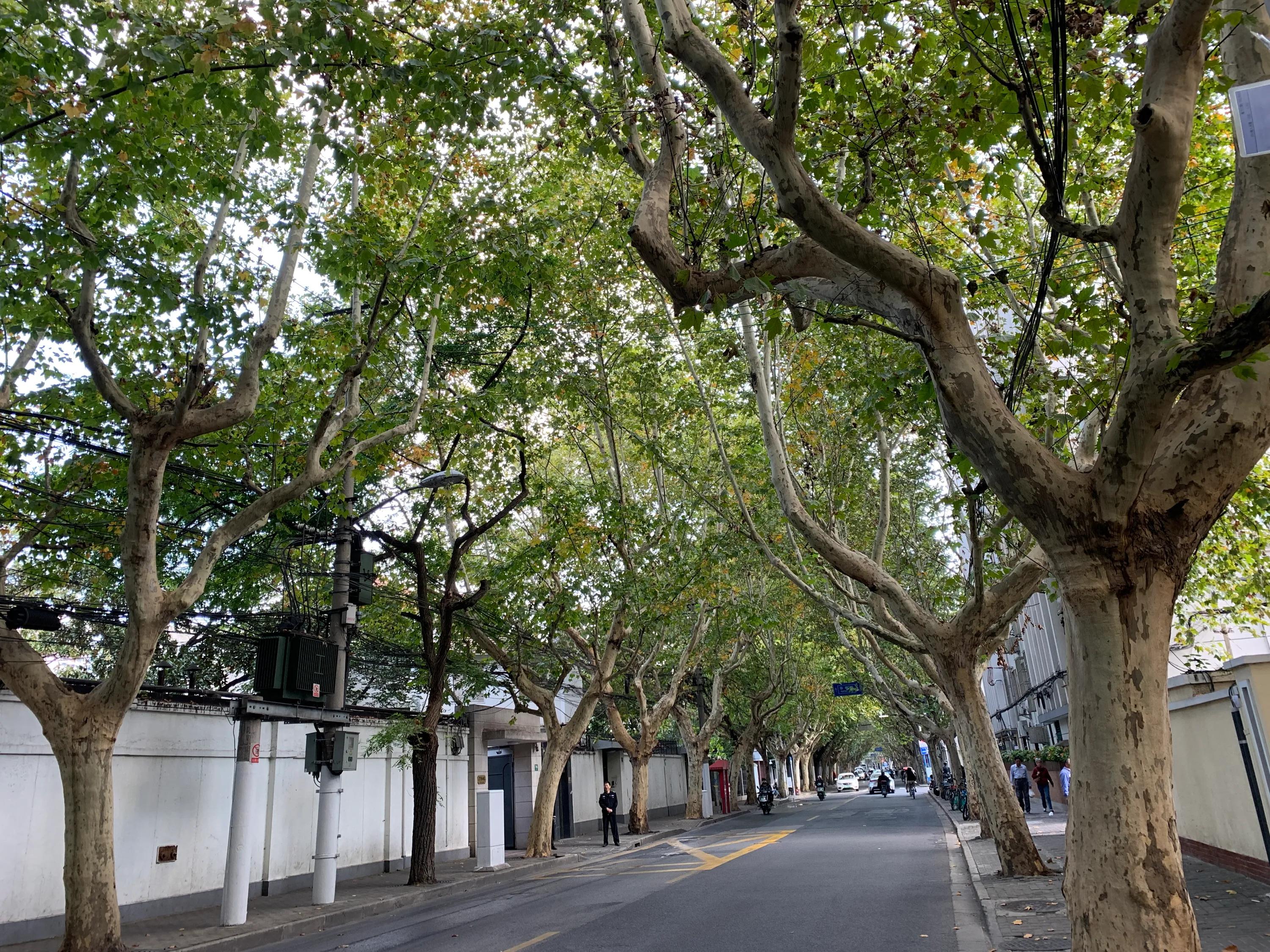 Walking Tour: October 29, 2021-Shanghai-Wukang, Changle, Sinan, Madang ...