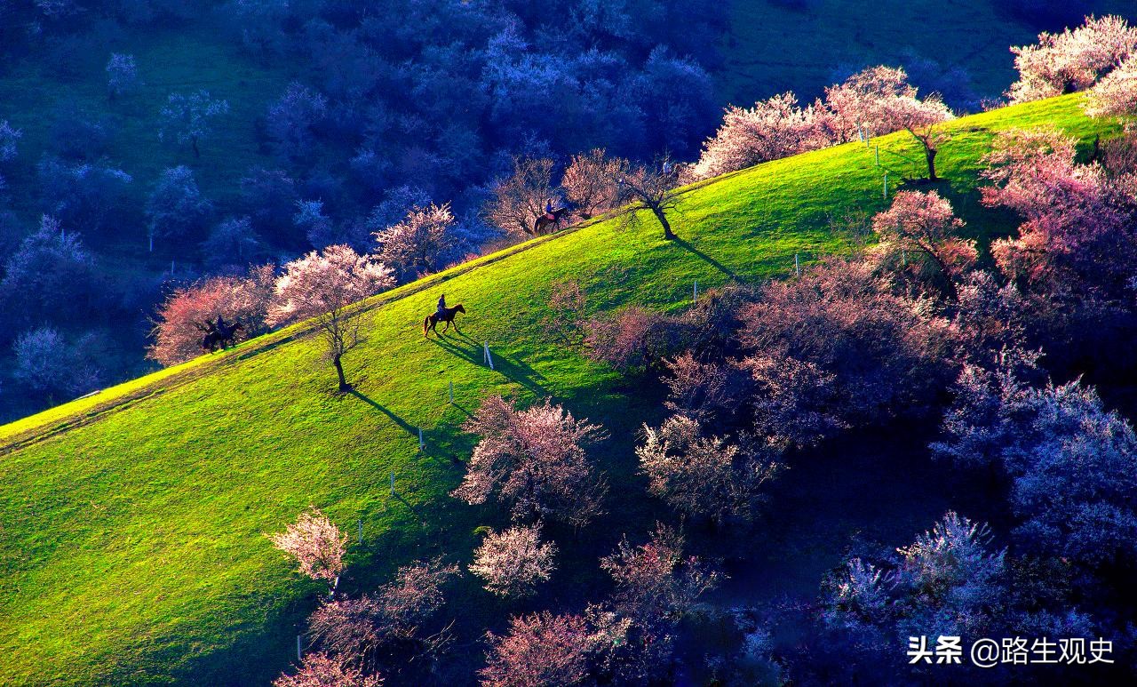 There is a good place in Xinjiang called Kazanqi, where the girls are ...