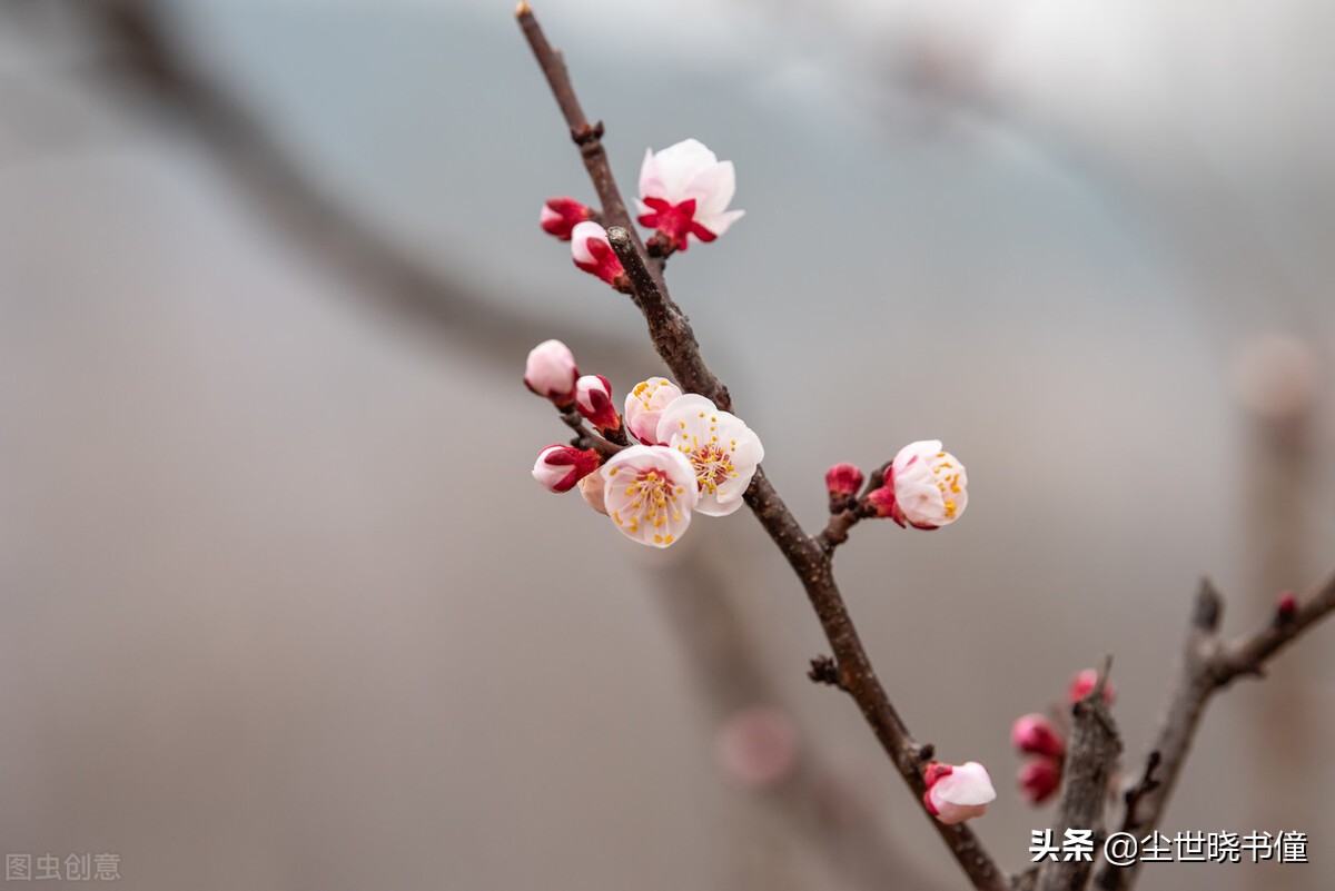 Wang Anshi's poem is short and succinct. It is not only beautifully ...