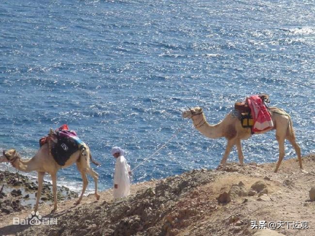 The strait connecting the Red Sea and the Gulf of Aden, between Yemen ...