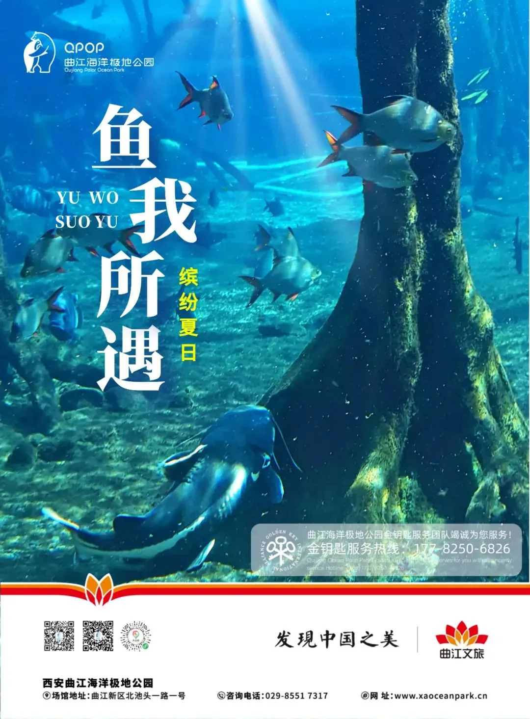 Escape from the heat, meet you with "fish" in Qujiang Ocean Polar Park ...
