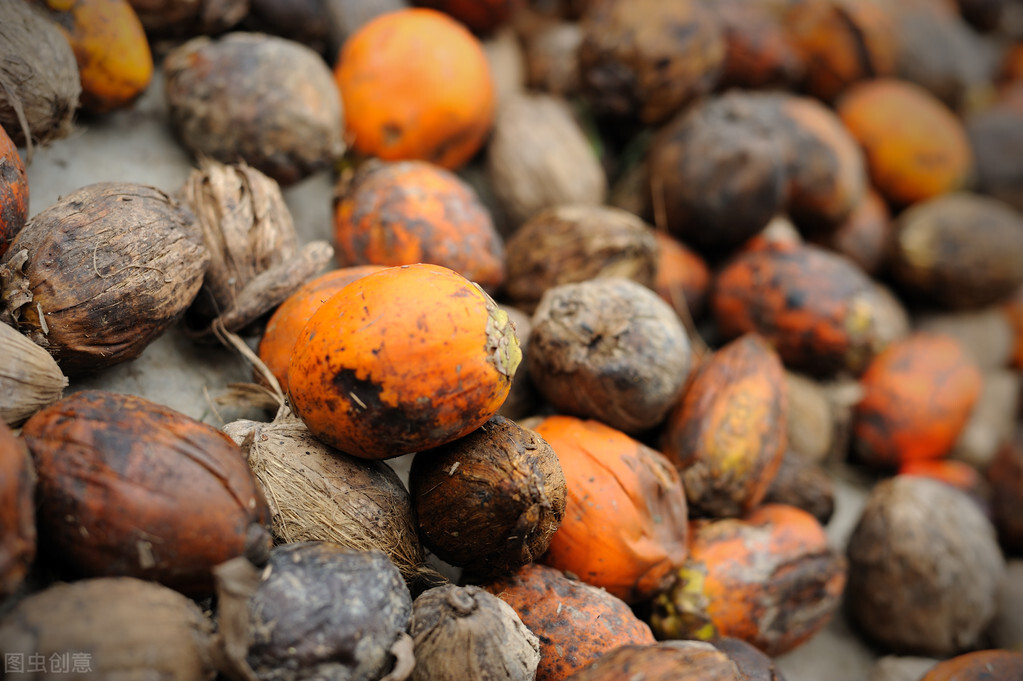 Betel nut is recognized as a drug by Turkey, bringing betel nut into ...