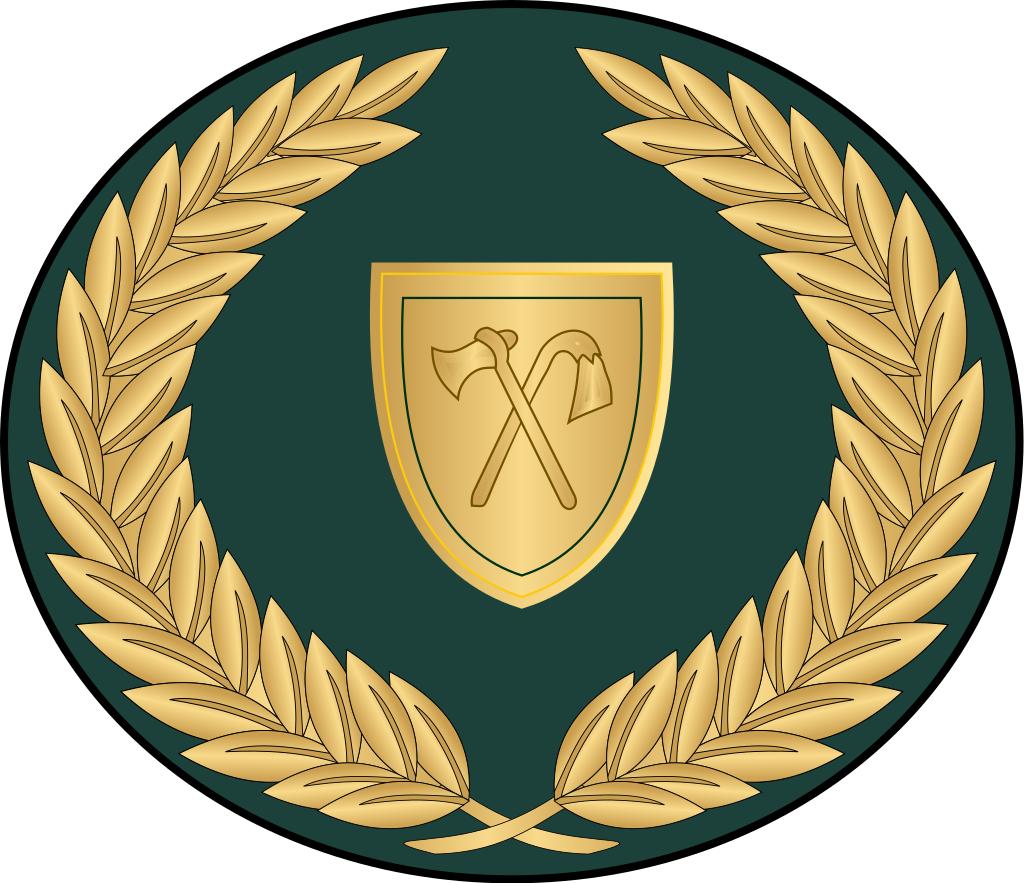 Military rank identification of each country: Gambia - iMedia