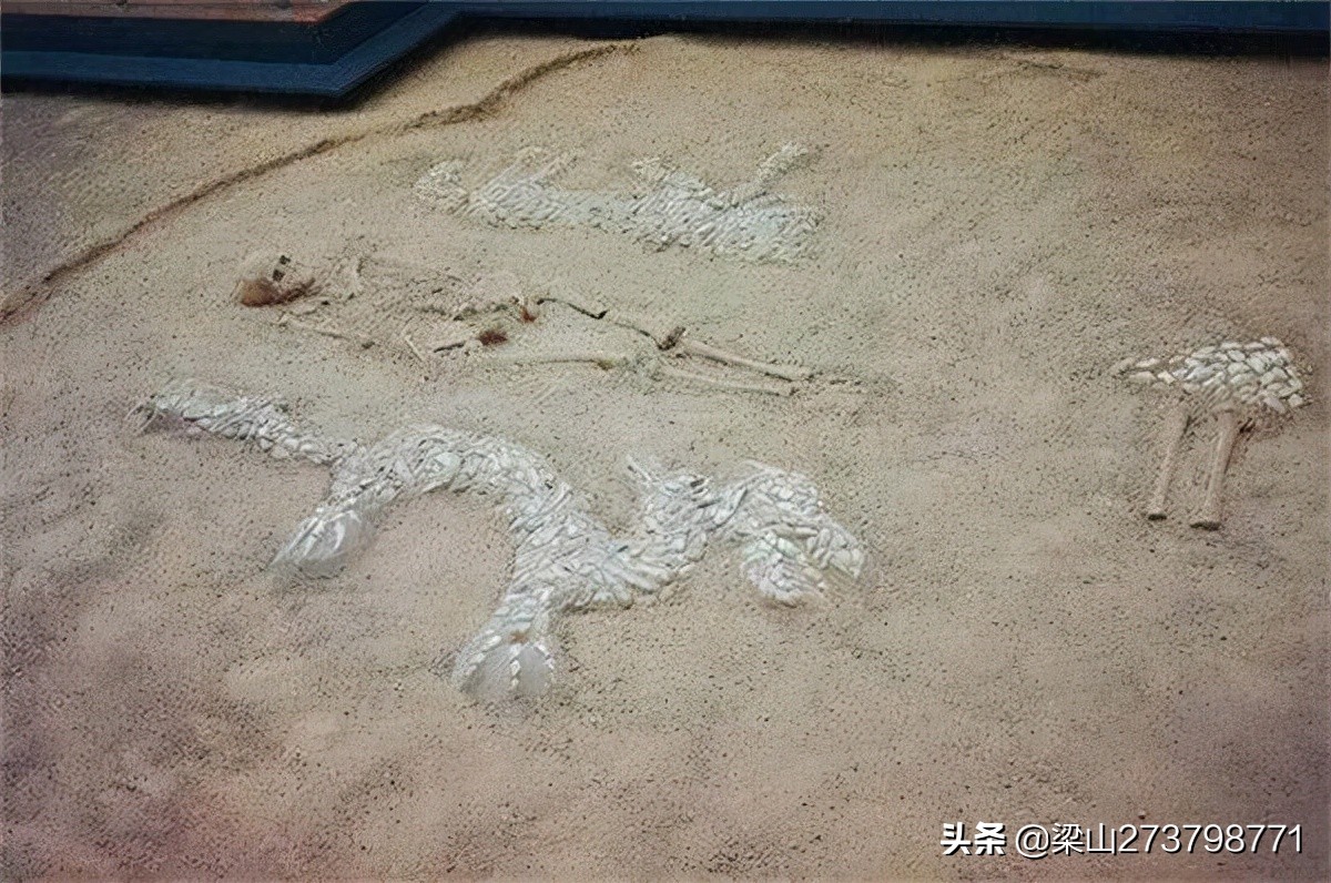 "China's First Dragon" and China's earliest astronomical map - iMedia