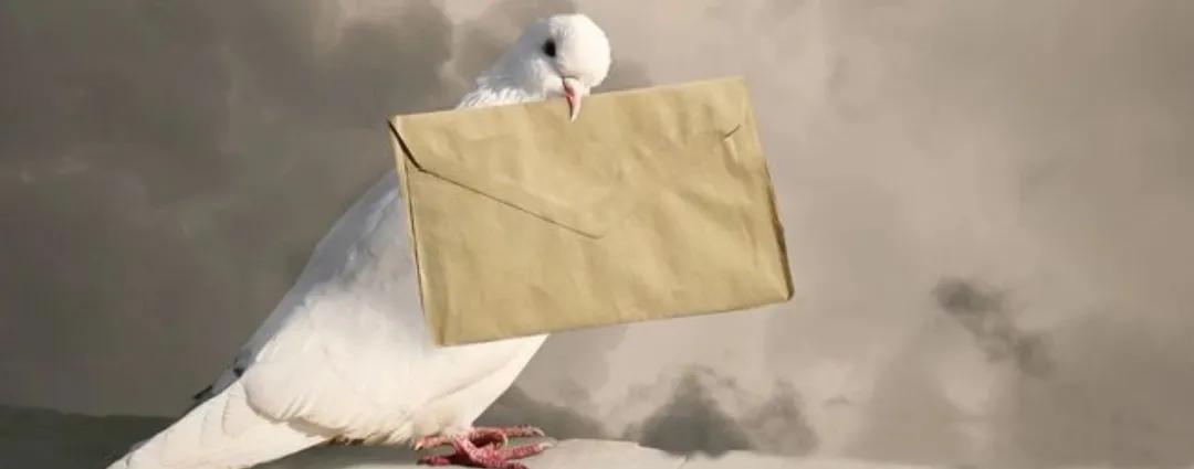 Fei Ge Chuan Shu is several times faster than "Eight Baili Express", so ...