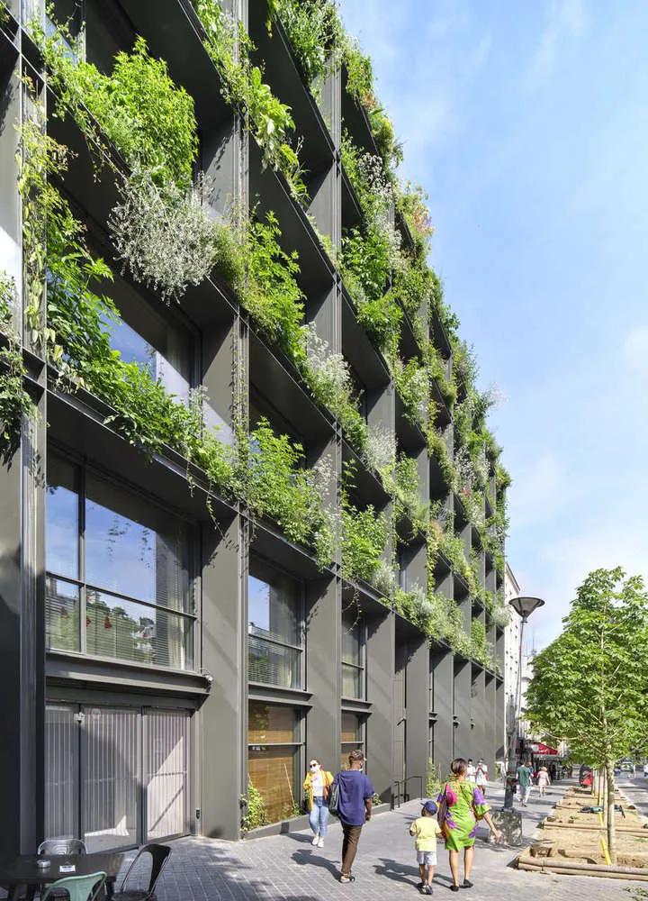 Medicinal herbs are planted on the balcony of the M building in Paris ...