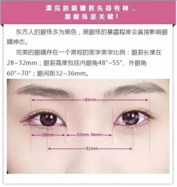 Fan Fang talks about common eye shapes and aesthetic characteristics of ...