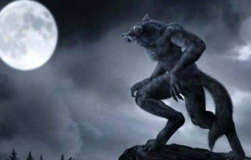 "One Night Wolf" is familiar with the identity of a good person in the ...