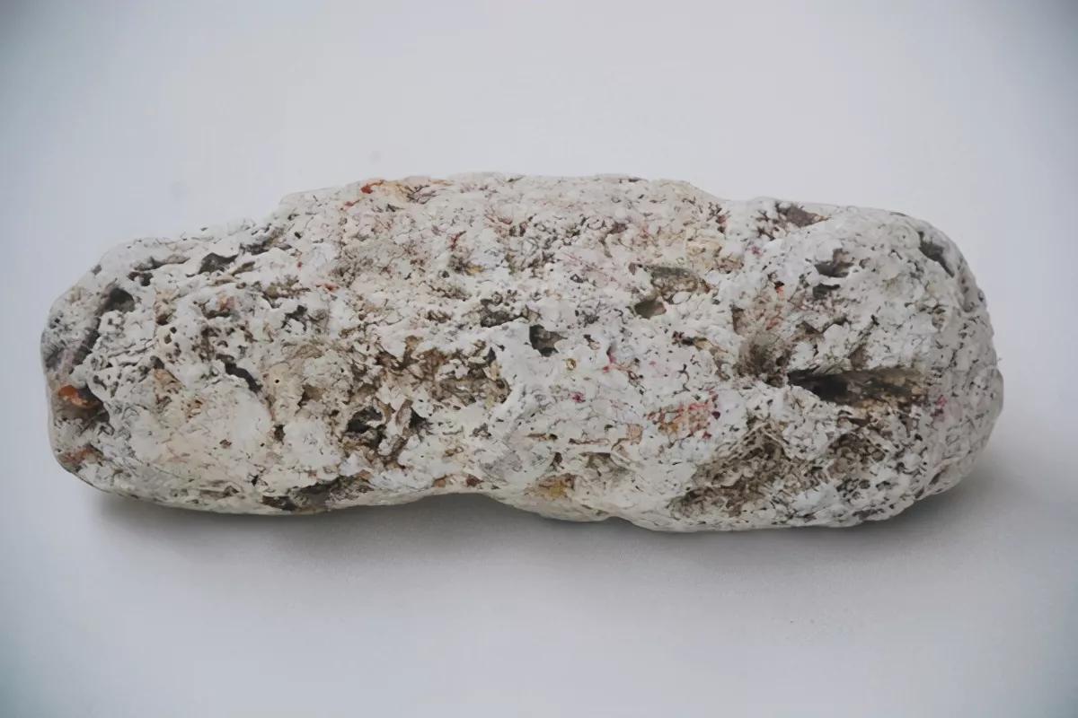 The "Ambergris" of the sperm whale is worth as much as gold. Today is a ...