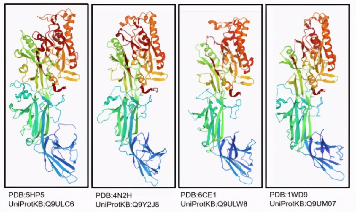 Histone citrullination: a new target for tumor therapy - iMedia