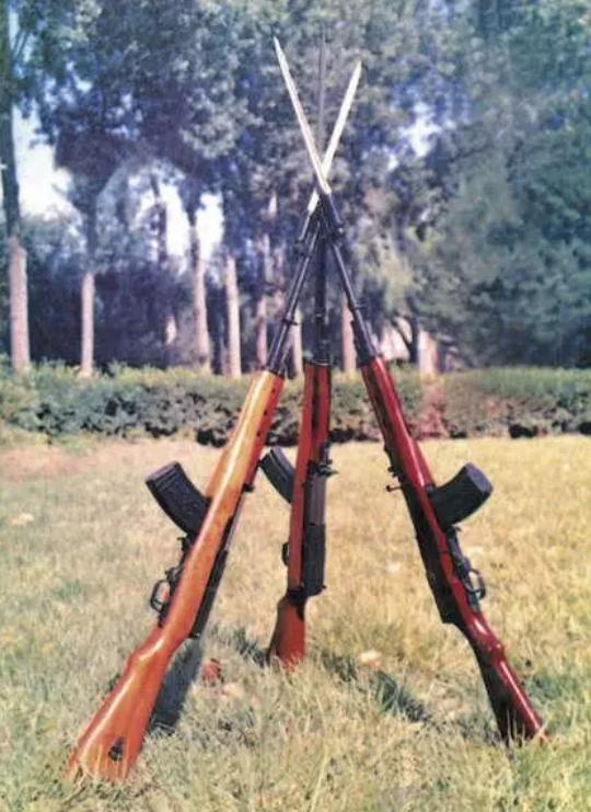 Detailed explanation of Type 63 automatic rifle, a good gun delayed by ...