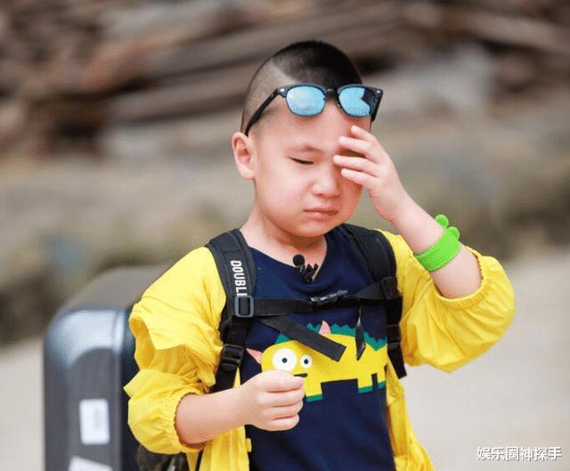 Lin Dajun is 11 years old. He is not very prominent in "Where Are You ...