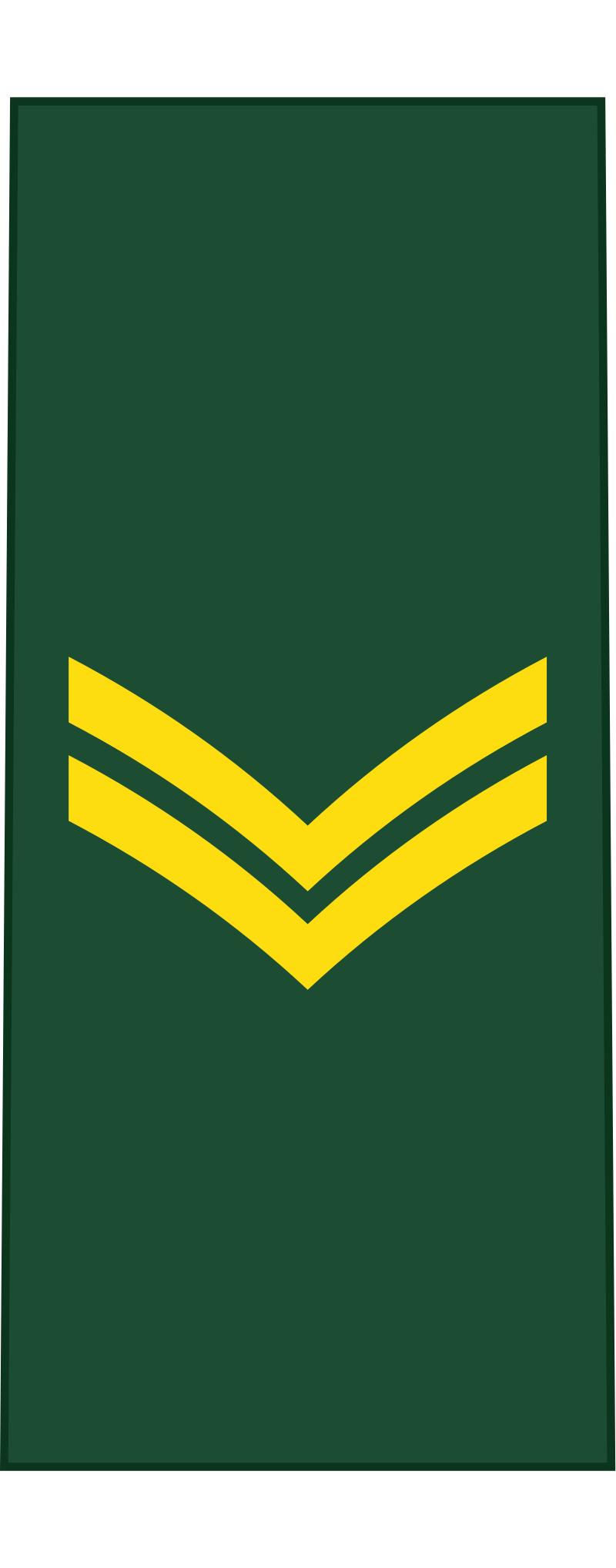 Military rank identification of each country: Canada - iMedia