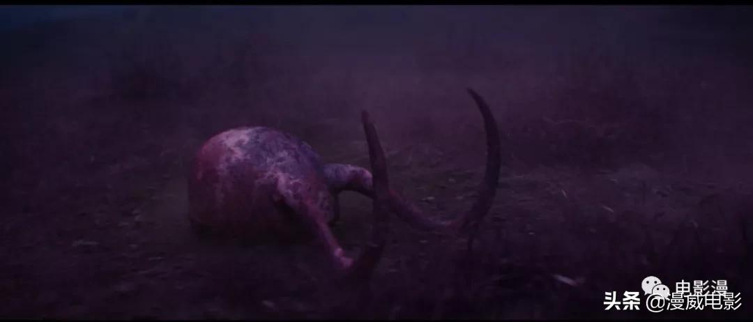 Old Rocky, can you come back? - iMedia