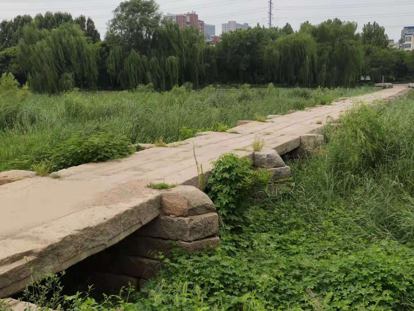 Jiang Guisong from Tai'an in Qing Dynasty: Donated to build Tongxi ...