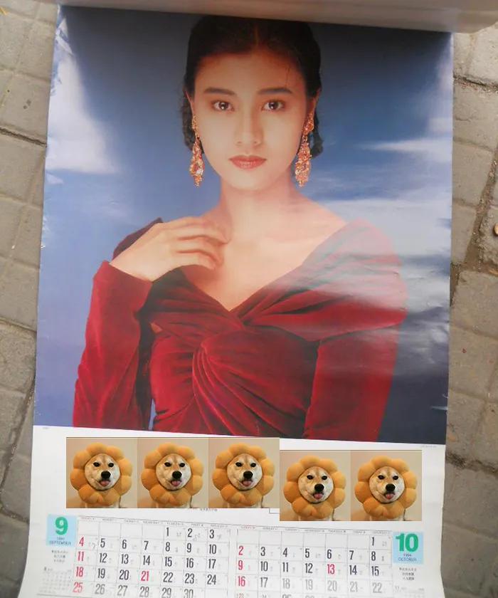 The female celebrity calendars of the 1980s and 1990s are retro and ...