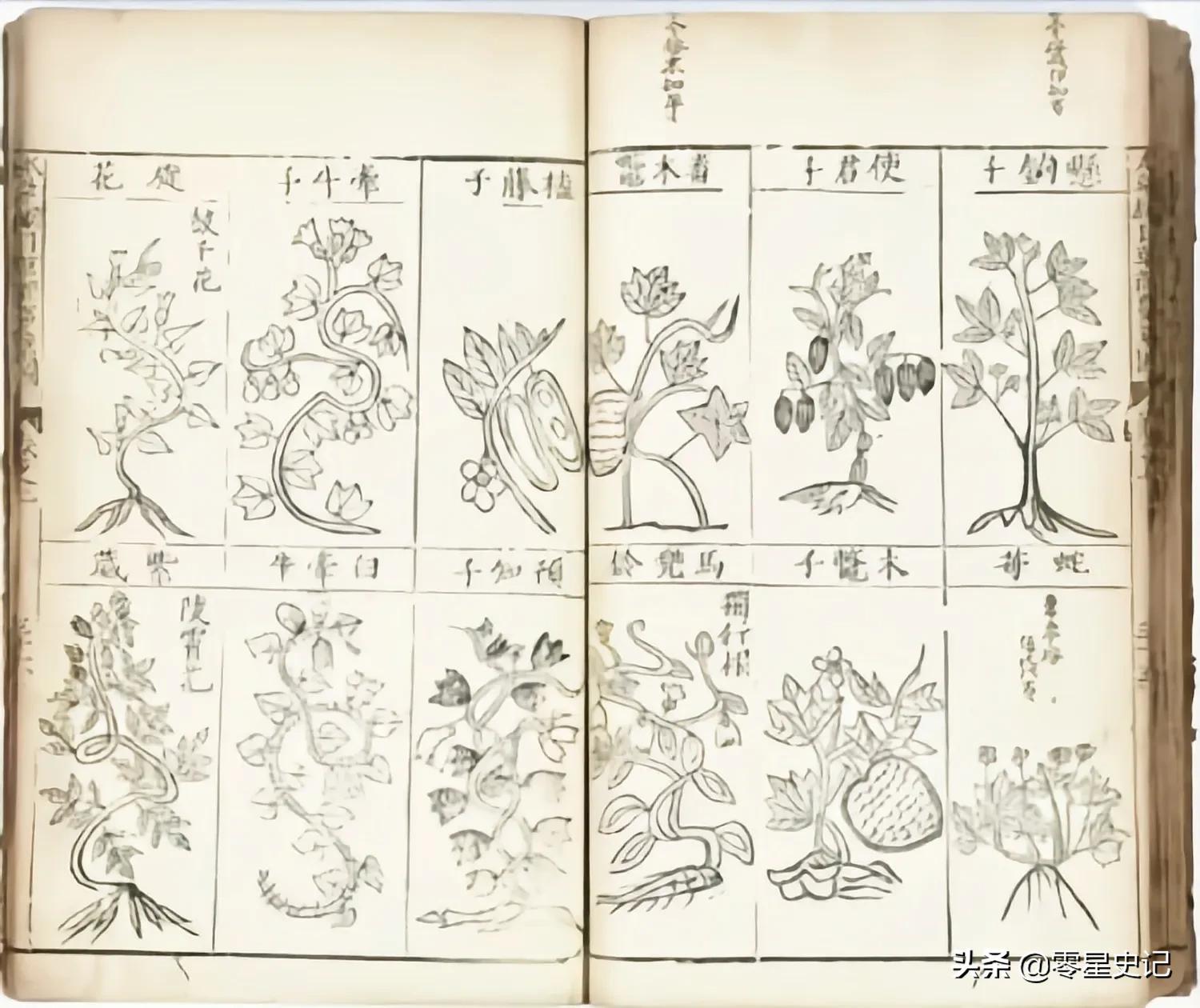 Double Saints of Medicine—Li Shizhen and his Compendium of Materia ...