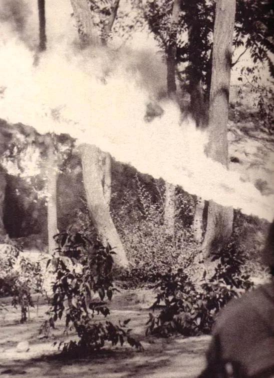 Devil also has a flamethrower - iMedia