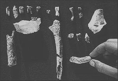 What is the extraordinary story behind the toothpicks?In fact, people ...