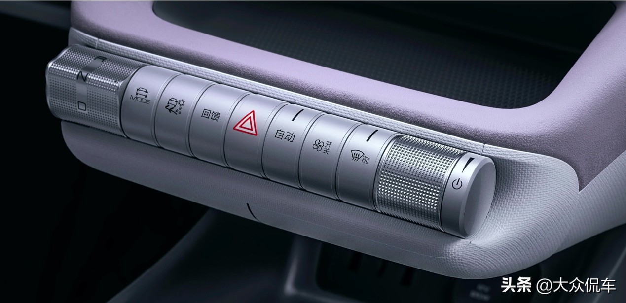 Pupu pink and rustle green two styles, BYD Dolphin interior official ...