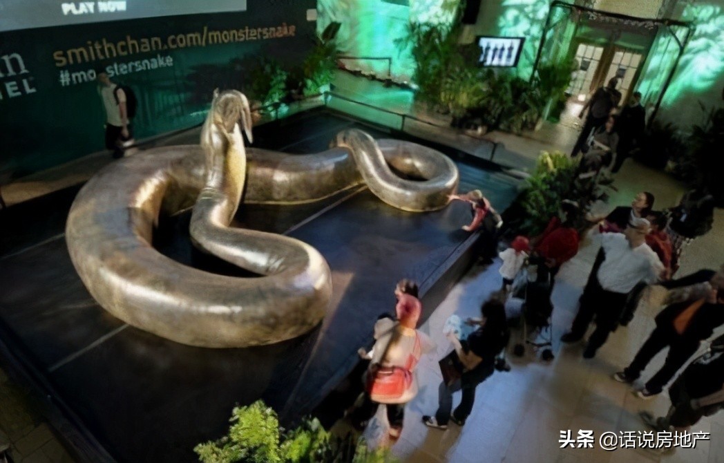 The largest animal in the world, count ten super giant creatures - iMedia